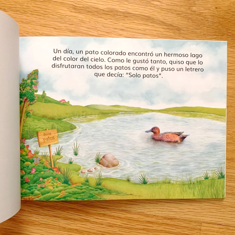Cuentos De Pato