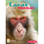 Cuentos que cuentan - Nara Learning