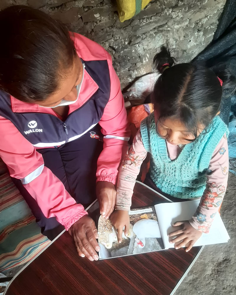 Fotos - Nara Learning