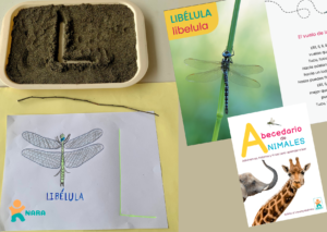 Blog - Nara Learning