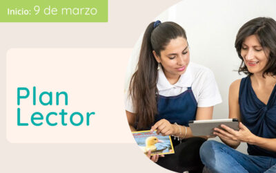 Cursos Archivo - Nara Learning