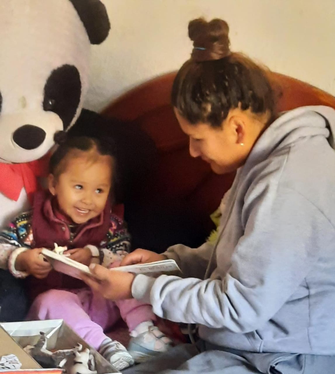 Curso: Desarrollo del lenguaje - Nara Learning