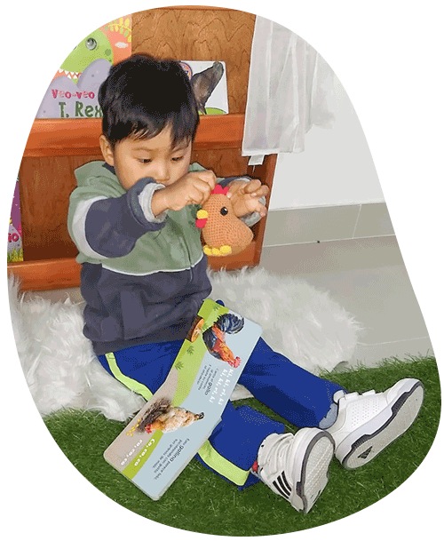 Curso: Desarrollo del lenguaje - Nara Learning