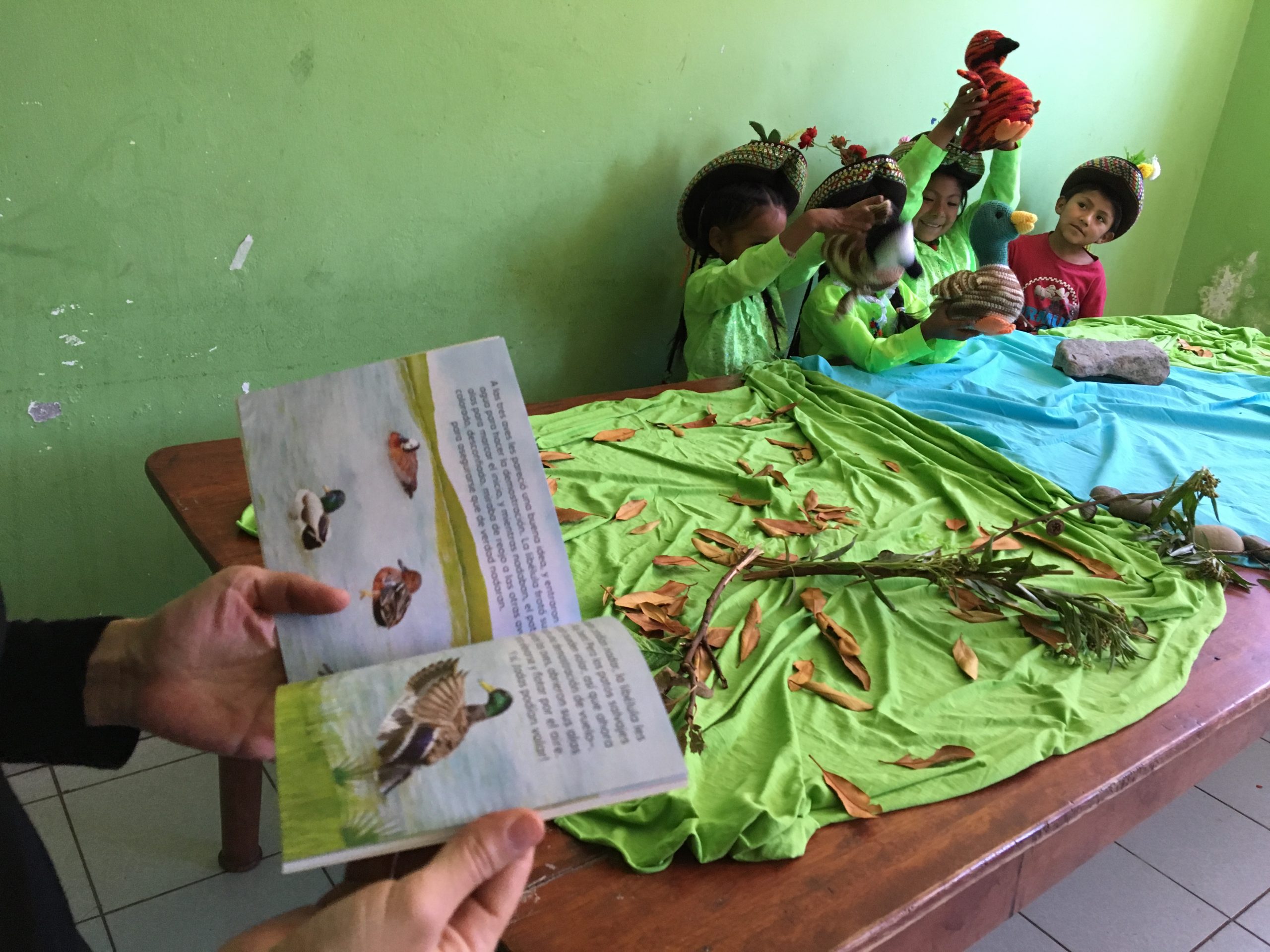 Programas - Nara Learning