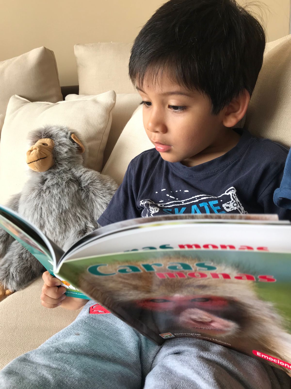 Libros - Nara Learning