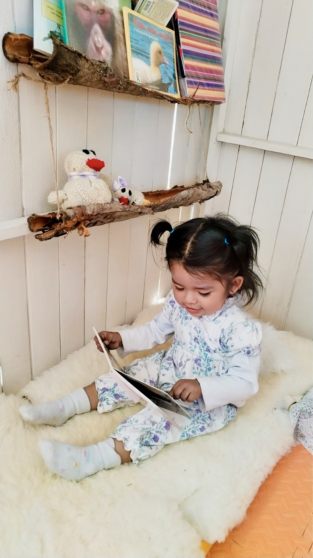 Metodología - Nara Learning