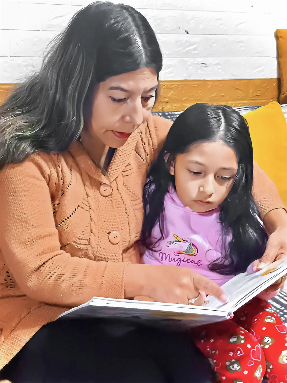 Comunidad - Nara Learning