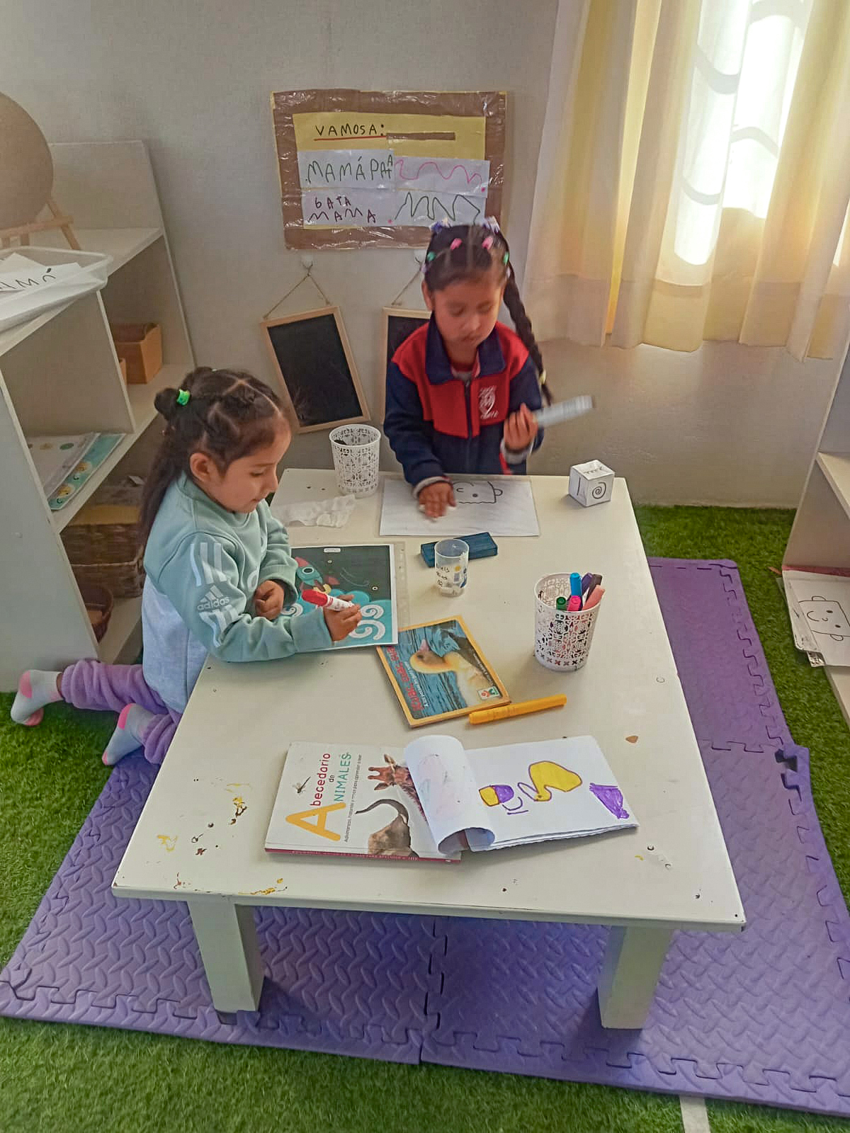 Programas - Nara Learning