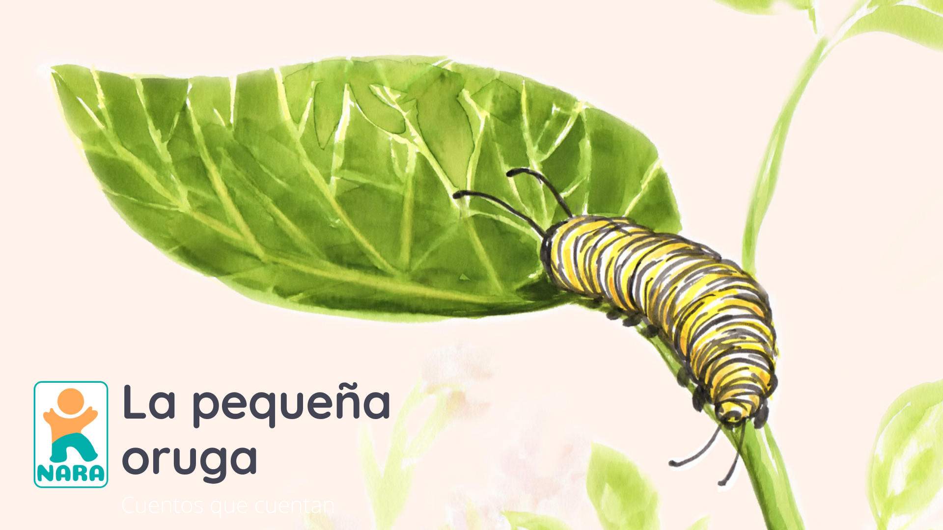 Programa Matemáticas Mágicas - Nara Learning