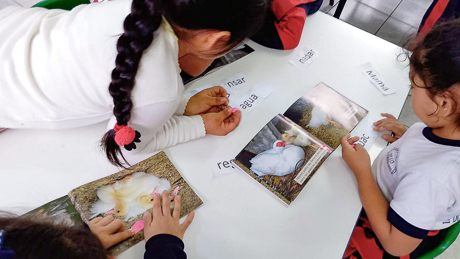 Programas - Nara Learning