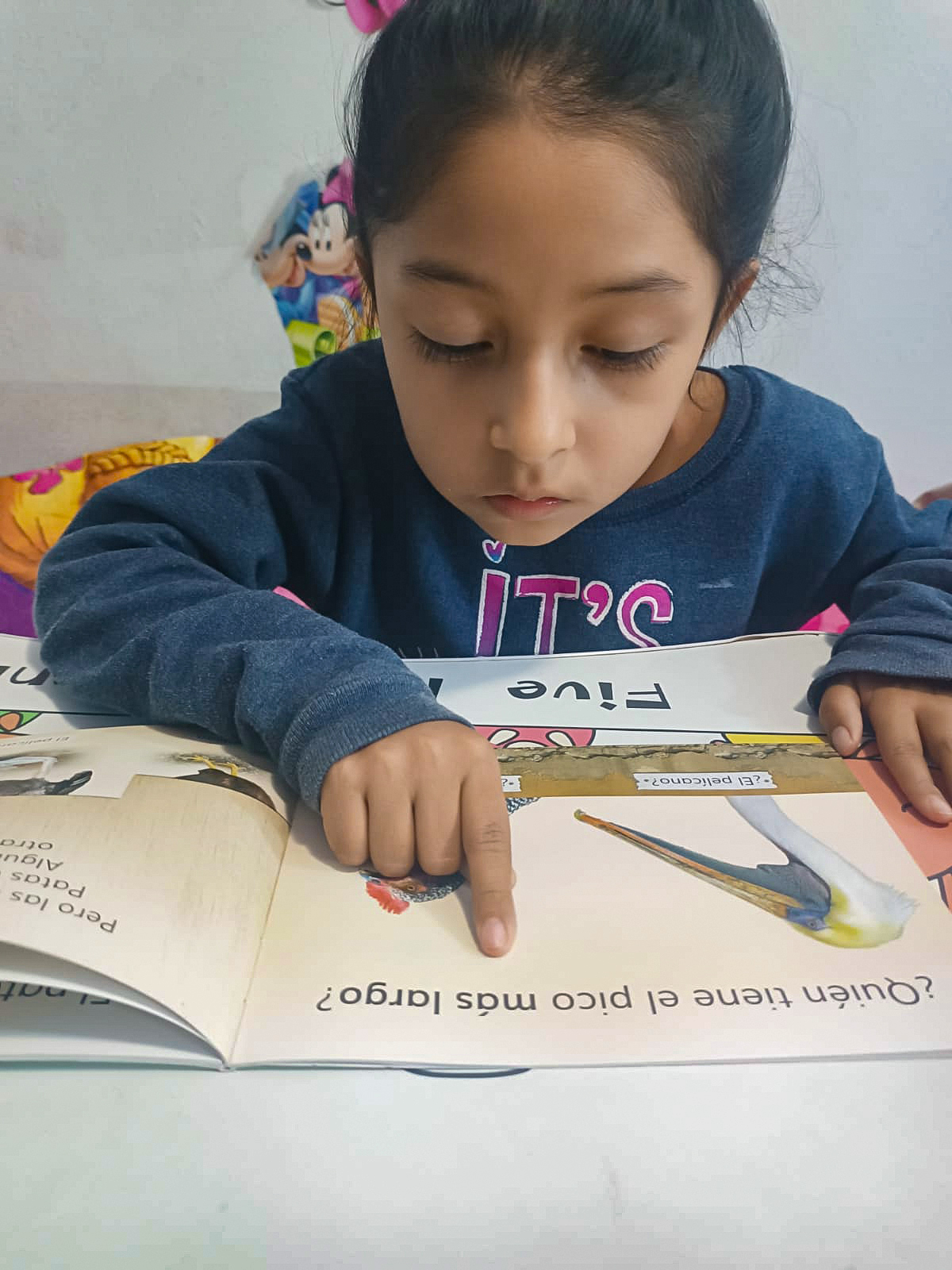 Programas - Nara Learning