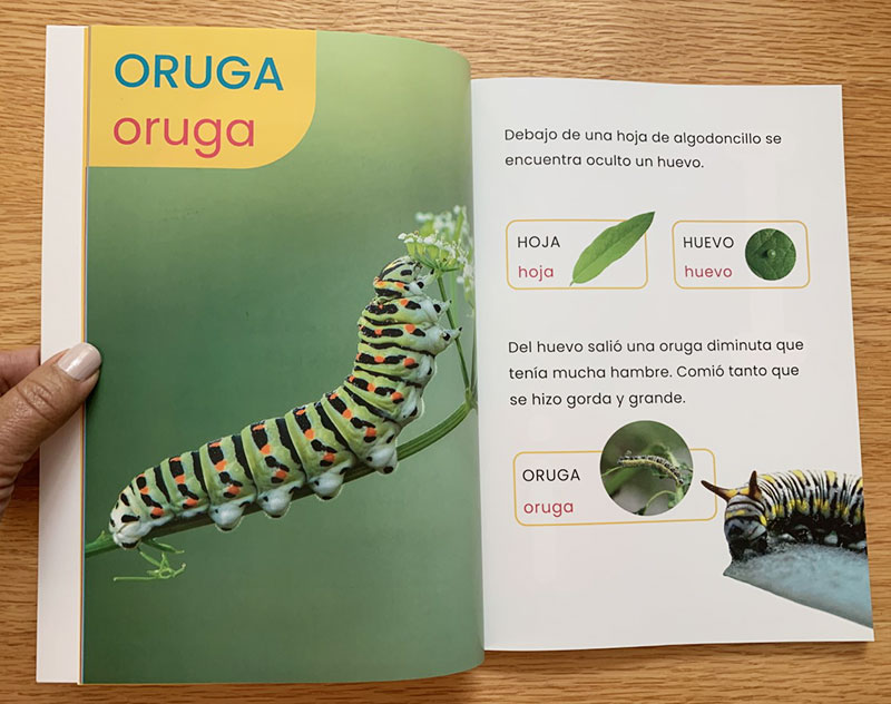 Programa Lectoescritura con emoción - Nara Learning