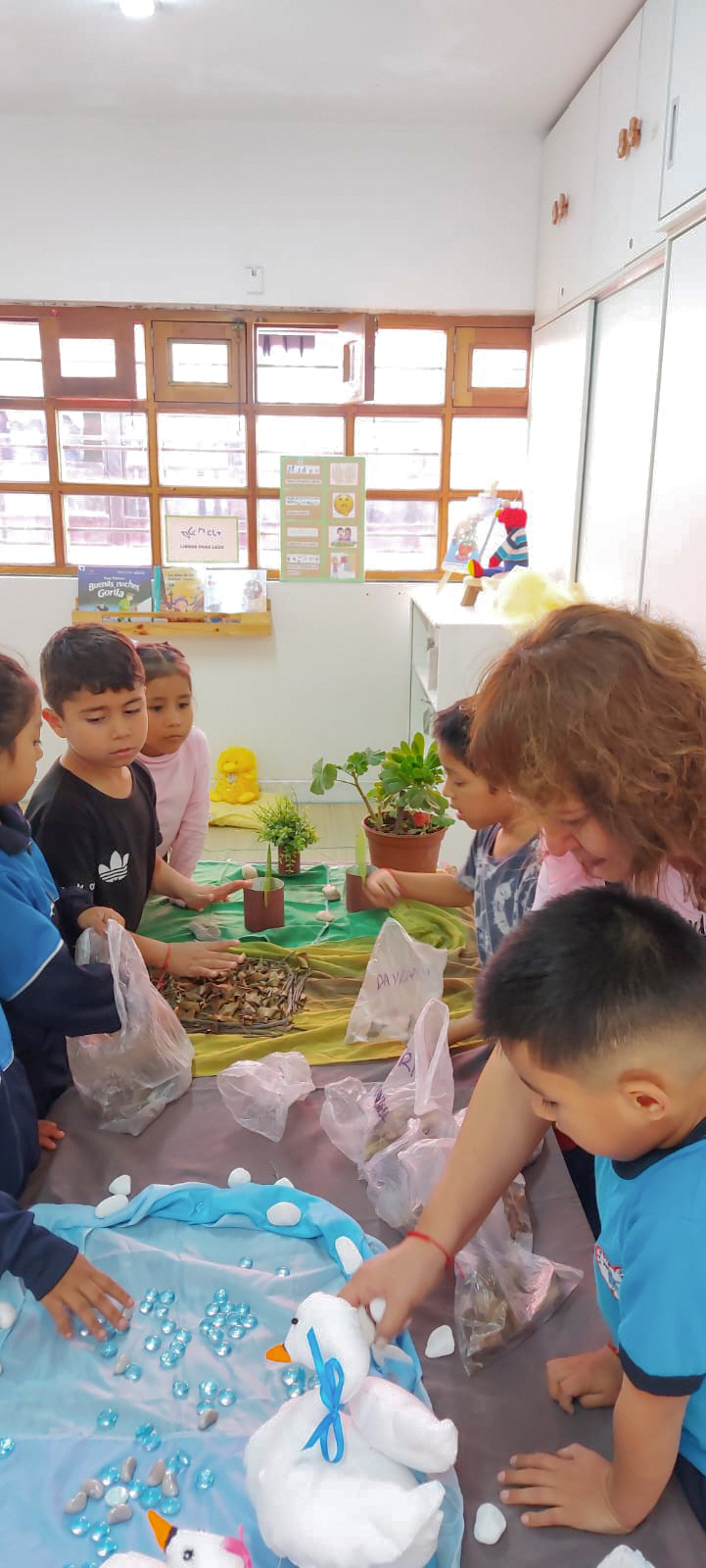 Programas - Nara Learning