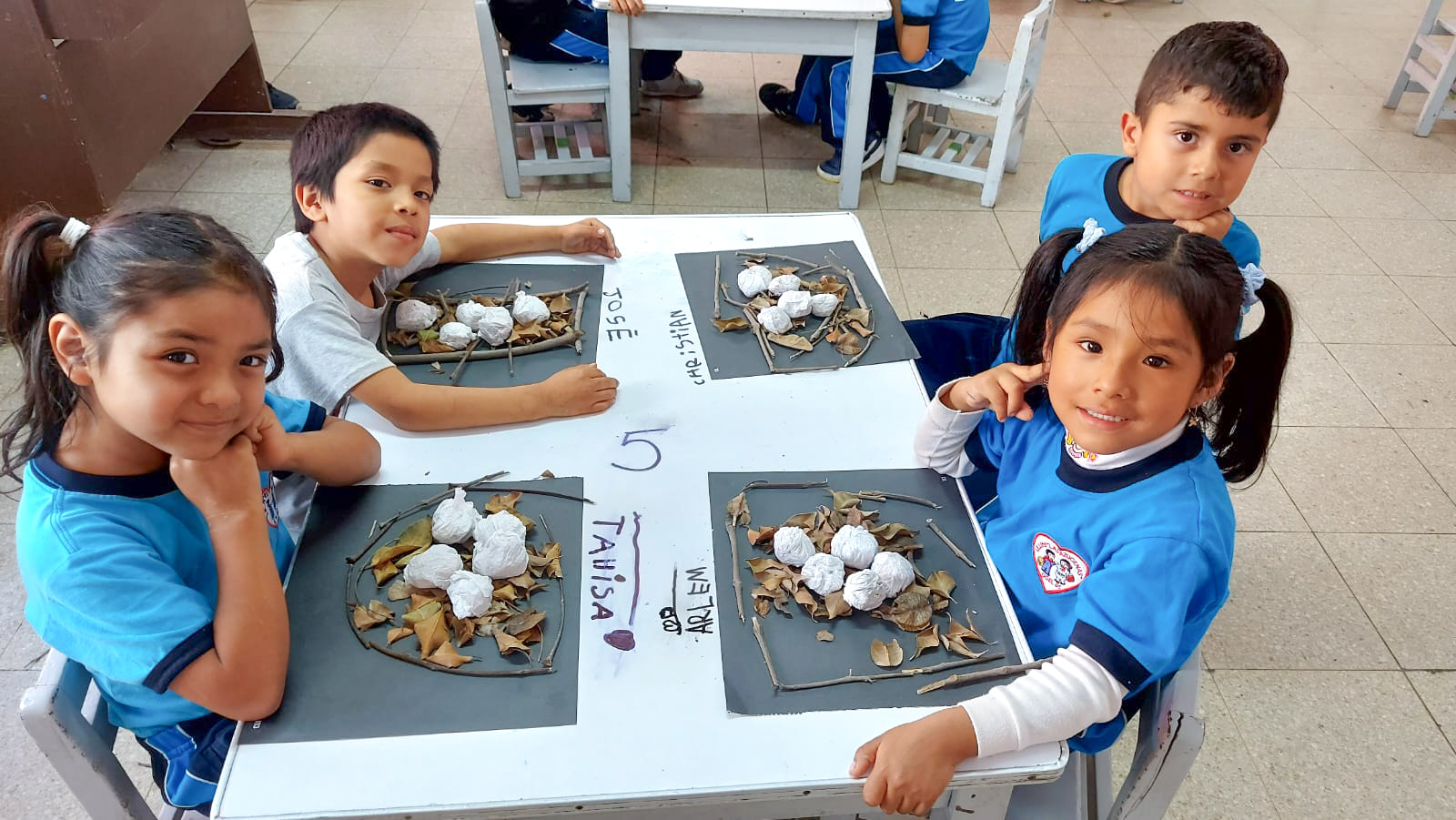 Programas - Nara Learning