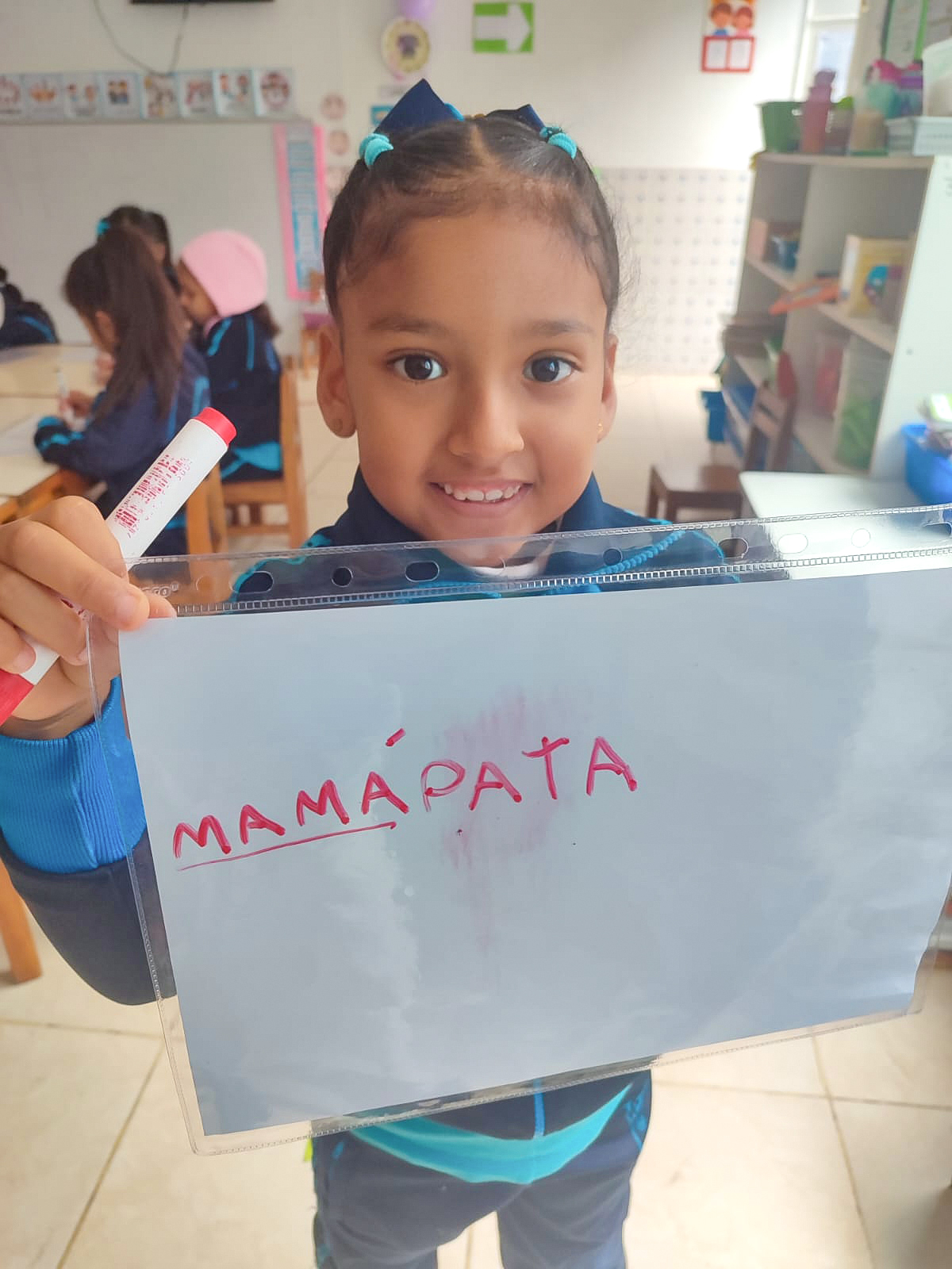 Programas - Nara Learning